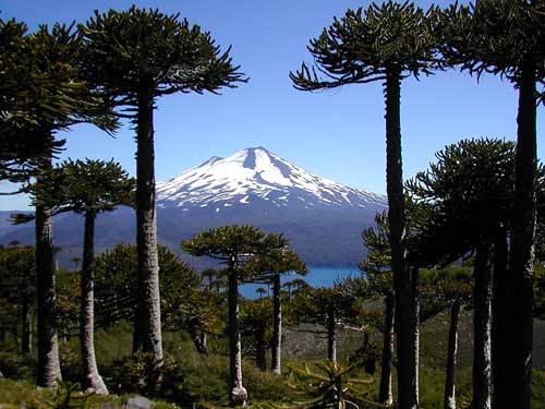 TURISMO REGION DEL BIO BIO: ATRACTIVOS TURISTICOS DESTACADOS