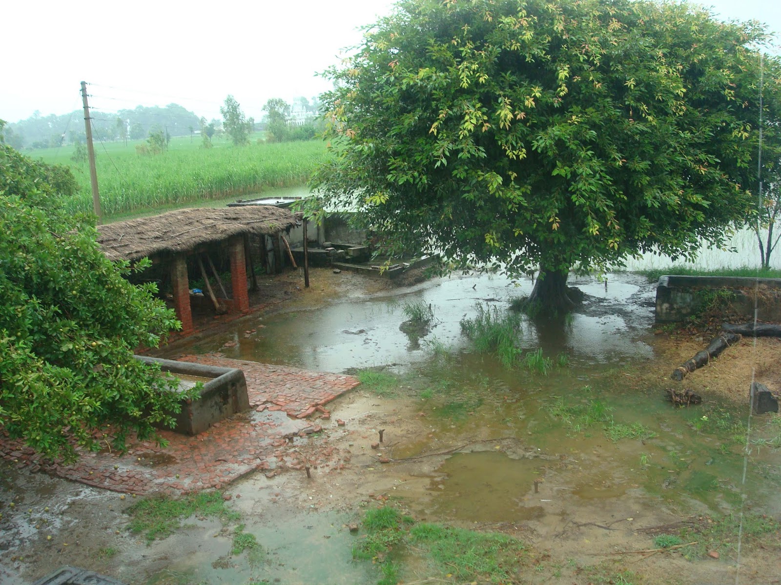 Beautiful India: PILIBHIT , UTTAR PRADESH