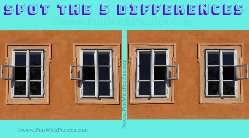 Challenging Picture Riddle: Spot 5 Differences