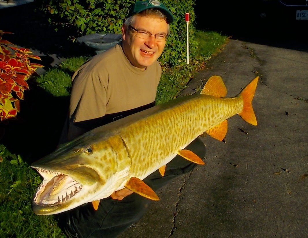 CHARLES WEISS ART: Giant wood carved muskie painting
