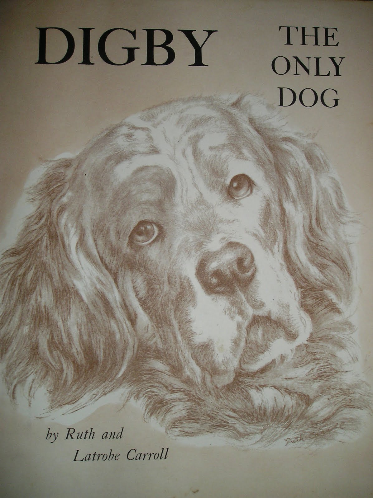 Ocracoke Island Journal: Digby the Only Dog