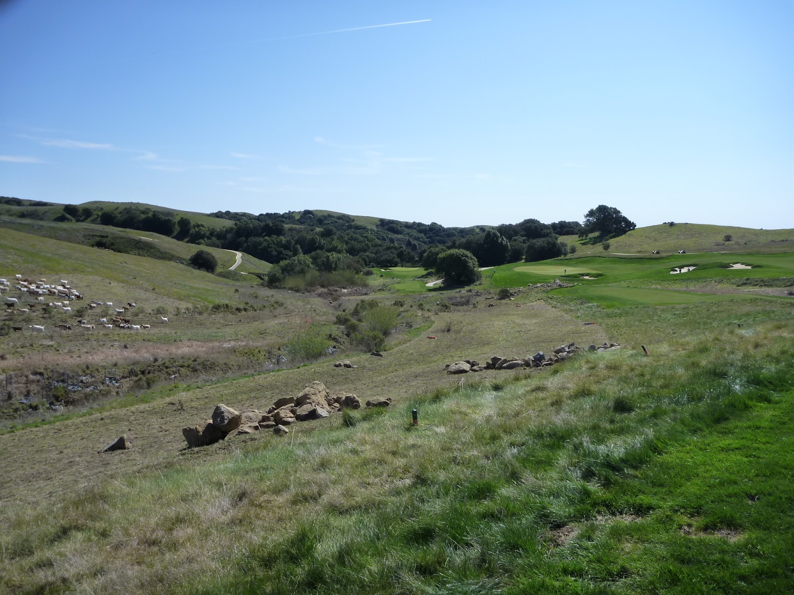 TPC Stonebrae Maintenance