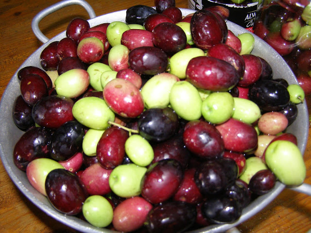 Jembella Farm: Olives