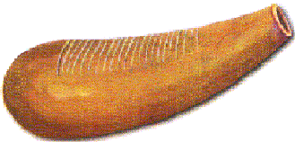 GuateSide: Instrumentos Autóctonos de Guatemala.