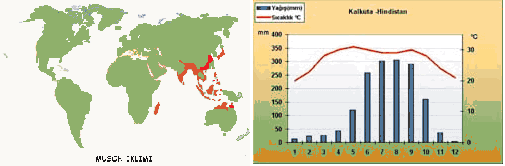 Dünyadaki İklim Çeşitliliği