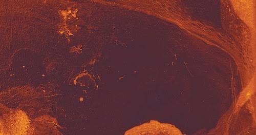 LA Hell Gang - Thru Me Again (2014) et Holy Wave - Relax (2014 ...