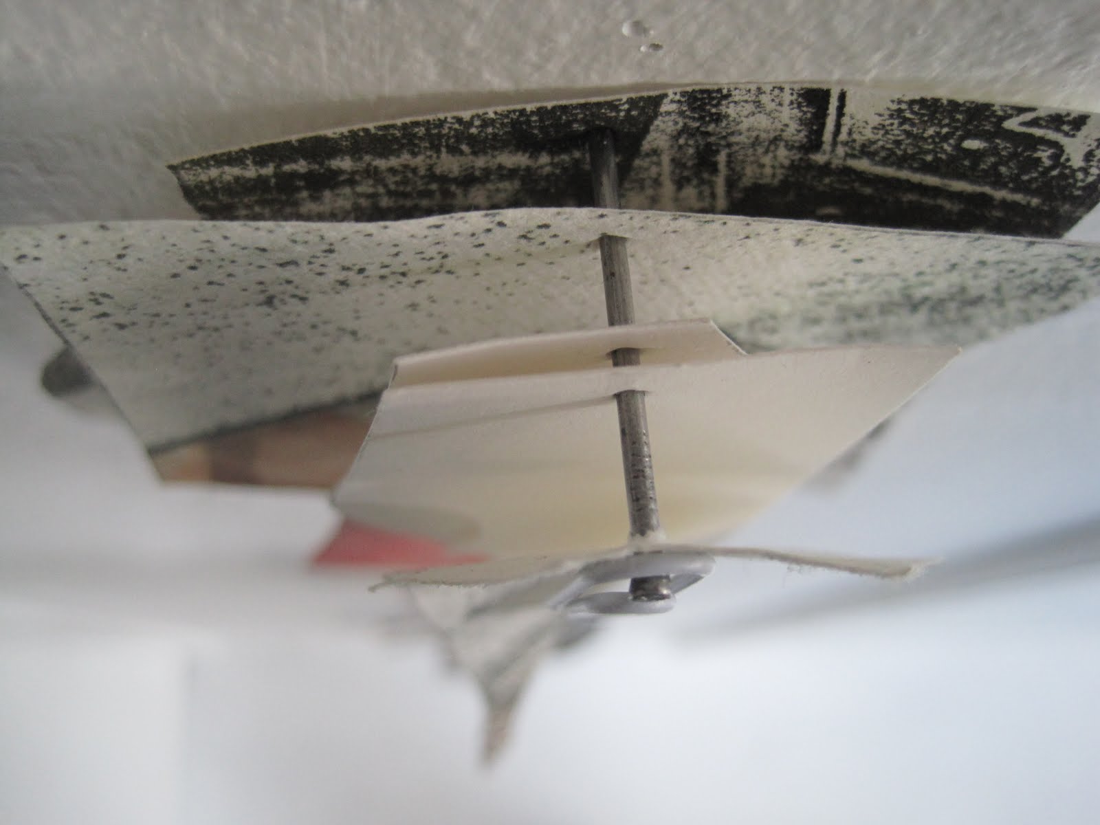 Aimee Carter: wall collage