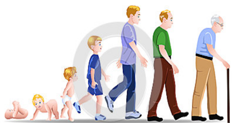 Tareas para un 20: TRIPTICO DESARROLLO HUMANO