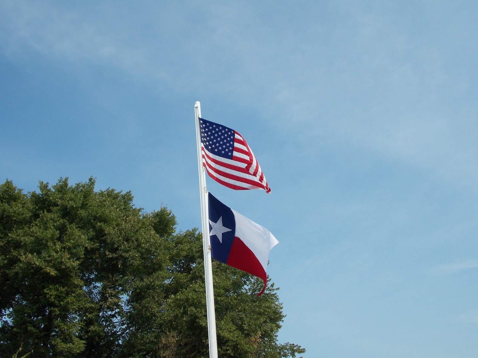 Enloe Museum: Enloe Museum Receives Texas and US Flags