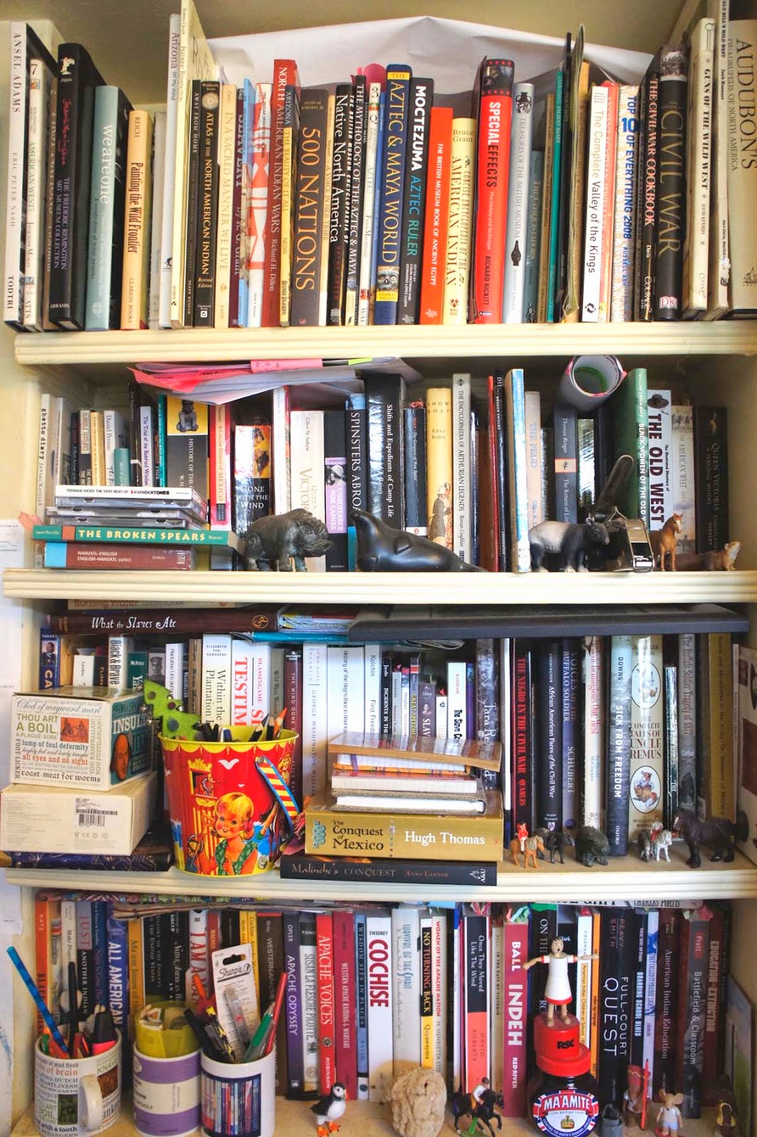 Bookcase Showcase: Author Tanya Landman