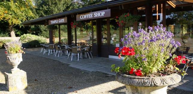 The Cake Trail: Temple Gate Coffee Shop review