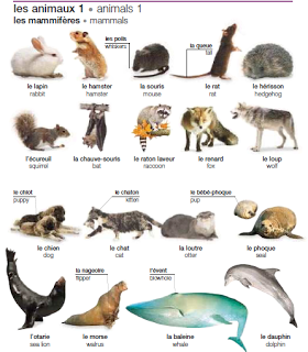 Le Français pour emigrer au Quebec...: LES ANIMAUX - VOCABULAIRE FRANÇAIS
