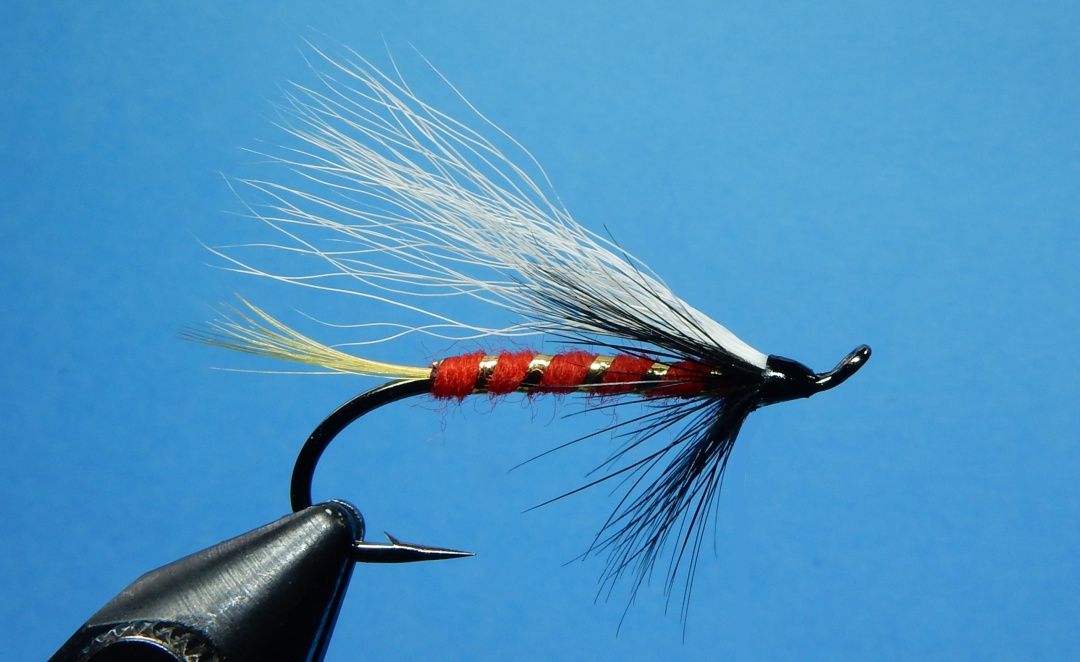 Black Spook | Salmon Fishing Forum