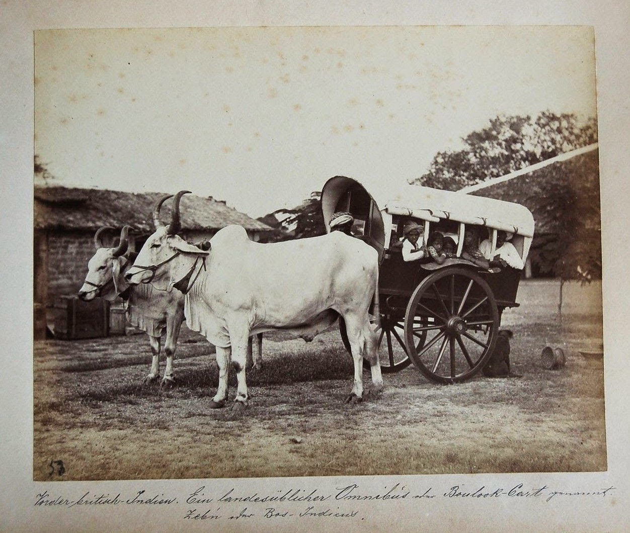 Indian Bullock Cart with Passengers - Old Indian Photos