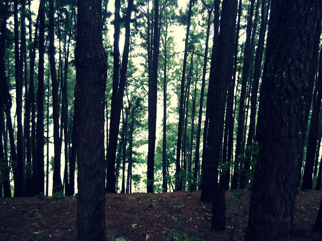 ලින්කන්ගෙ වෙබ් පිටුව: ඔහිය සිට යකාගේ පඩිපෙල පසුකර බඹරකන්ද දියඇල්ලට ...