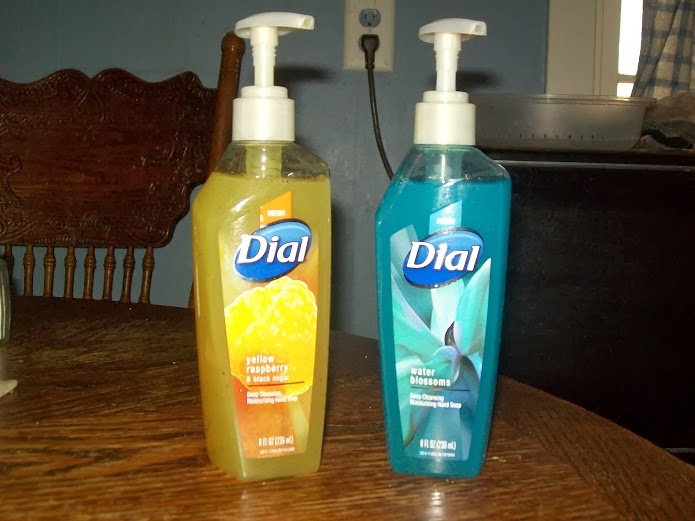 Marsha's Spot: Dial Deep Cleansing Hand Soap Review and Giveaway