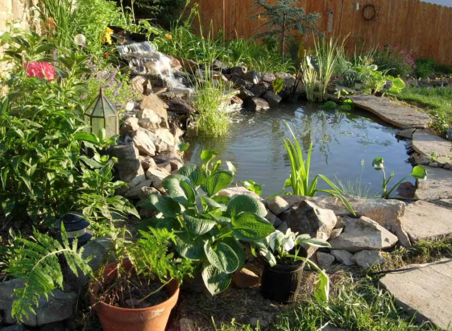 Model taman rumah: Taman Minimalis Simple 2015