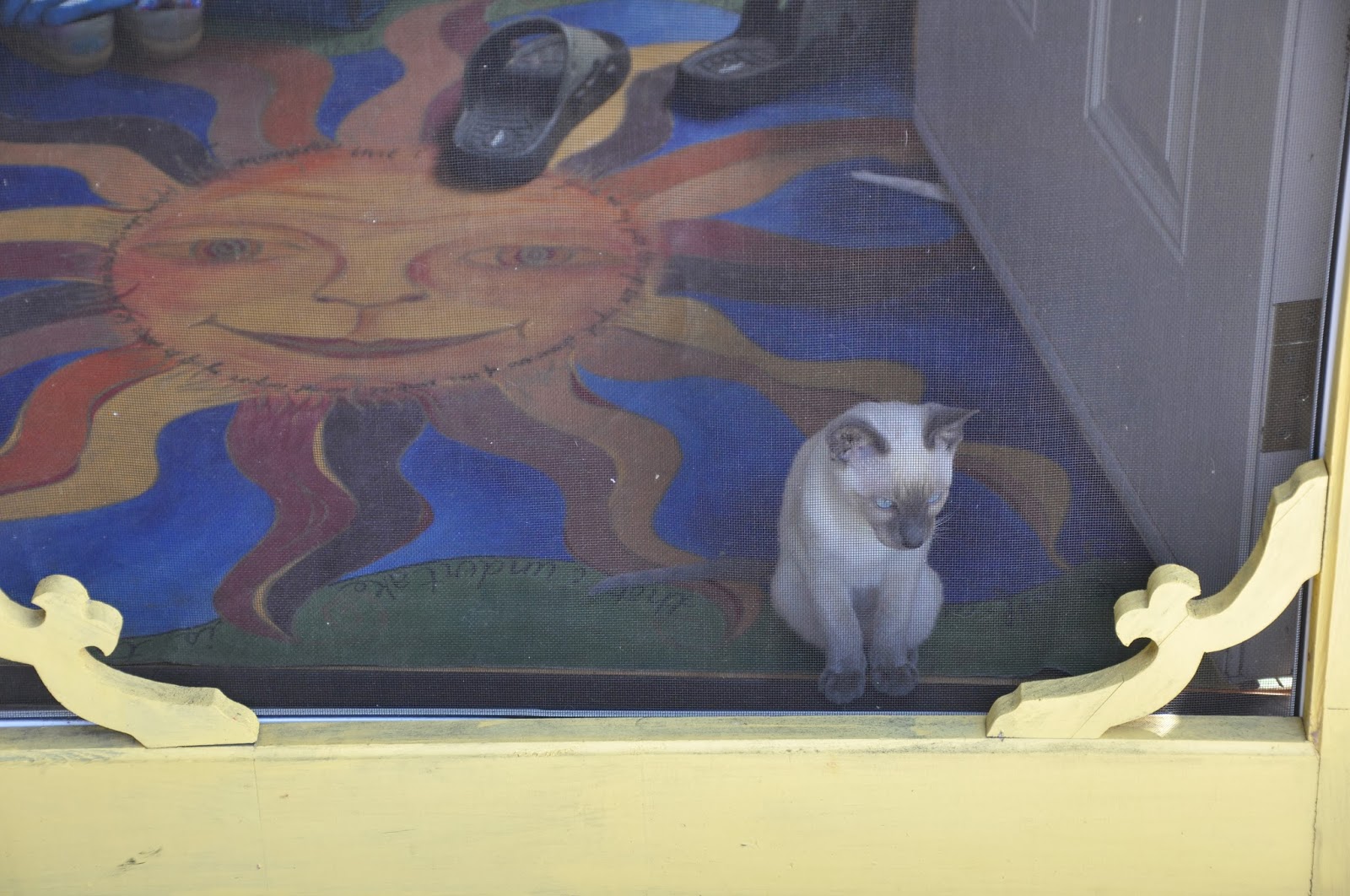 Through My Canadian Eyes: HONORABLE CAT