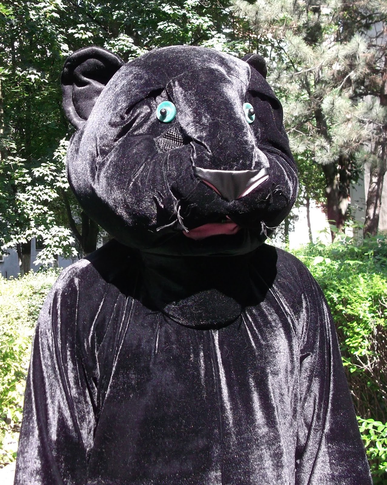 COSTUME MICHI MANOLE: Costum mascota pantera neagra