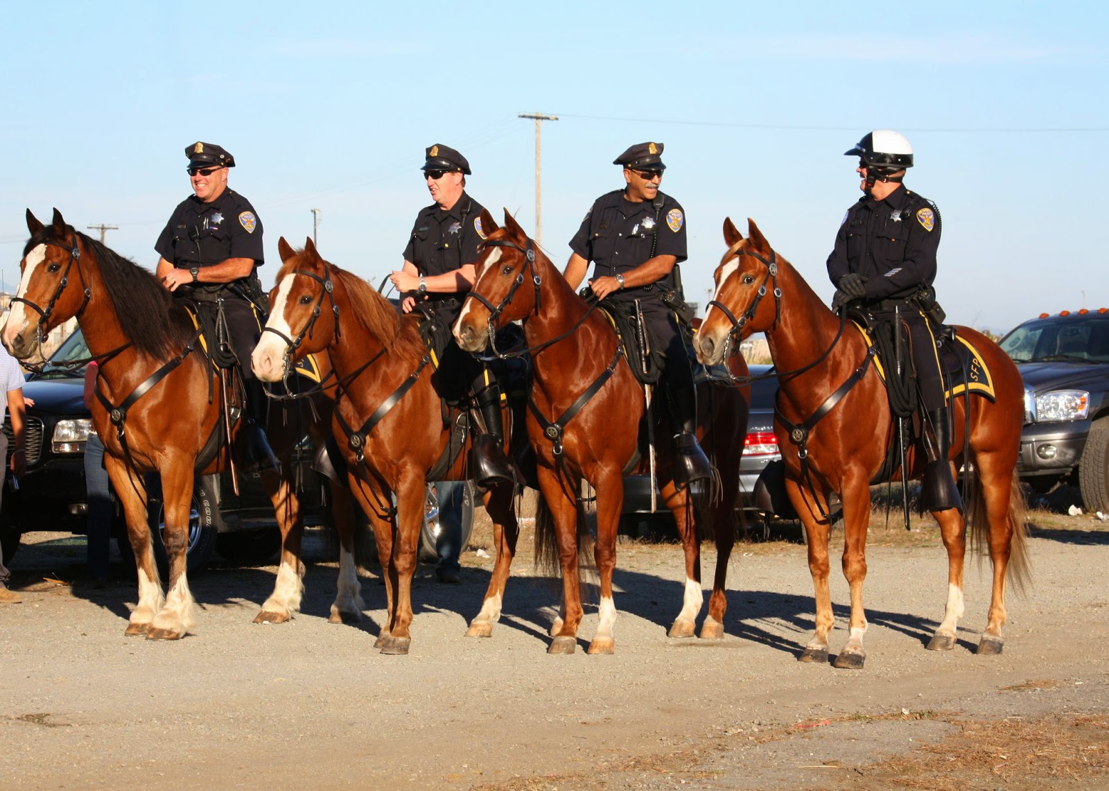 Children 4 Horses: Police Horse Training - Extraordinary Animals