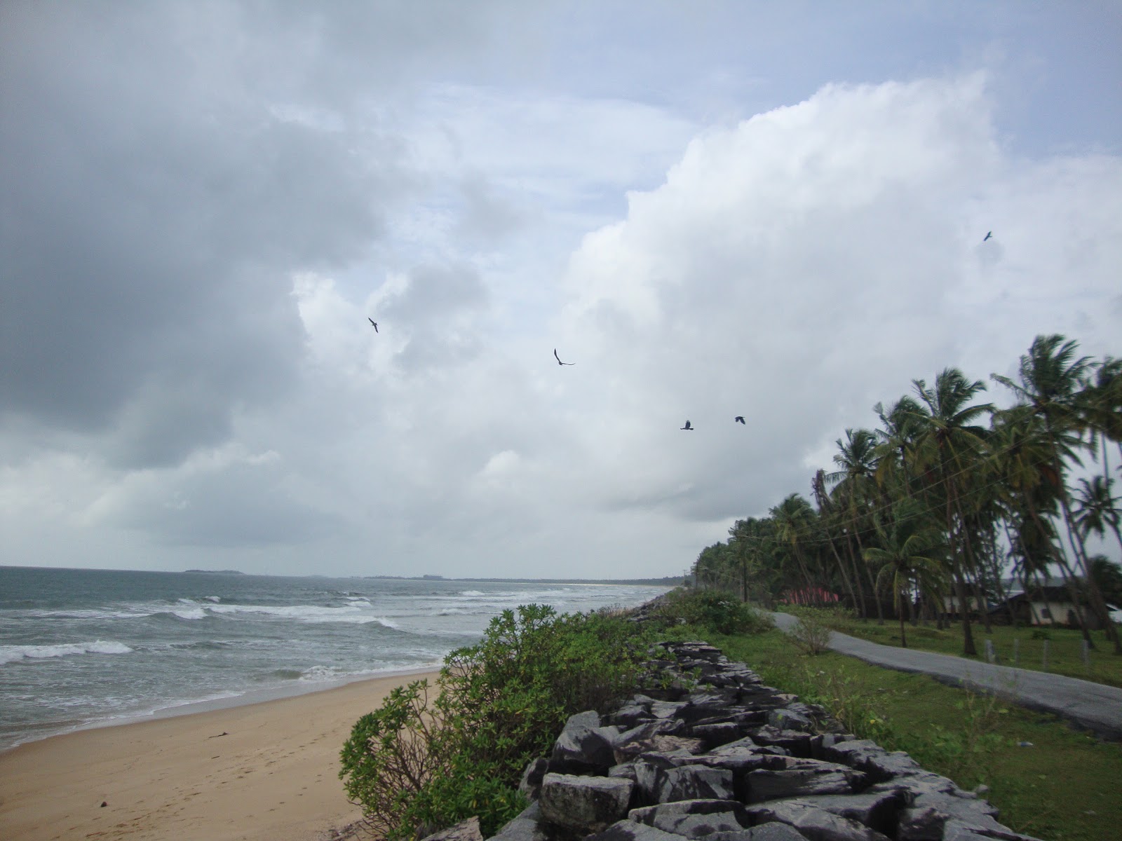 YENNAAR: Mattu Beach