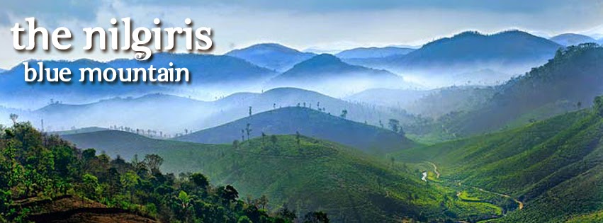Nilgiria2z