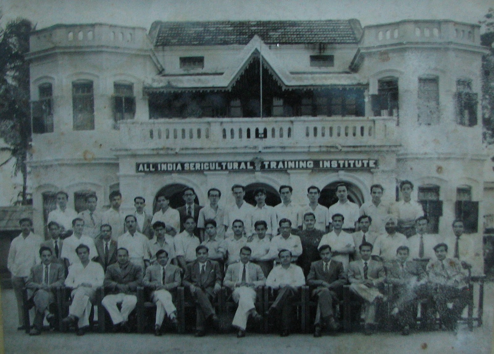 the silkworm: South Indian sericulture- portrait of a bygone era