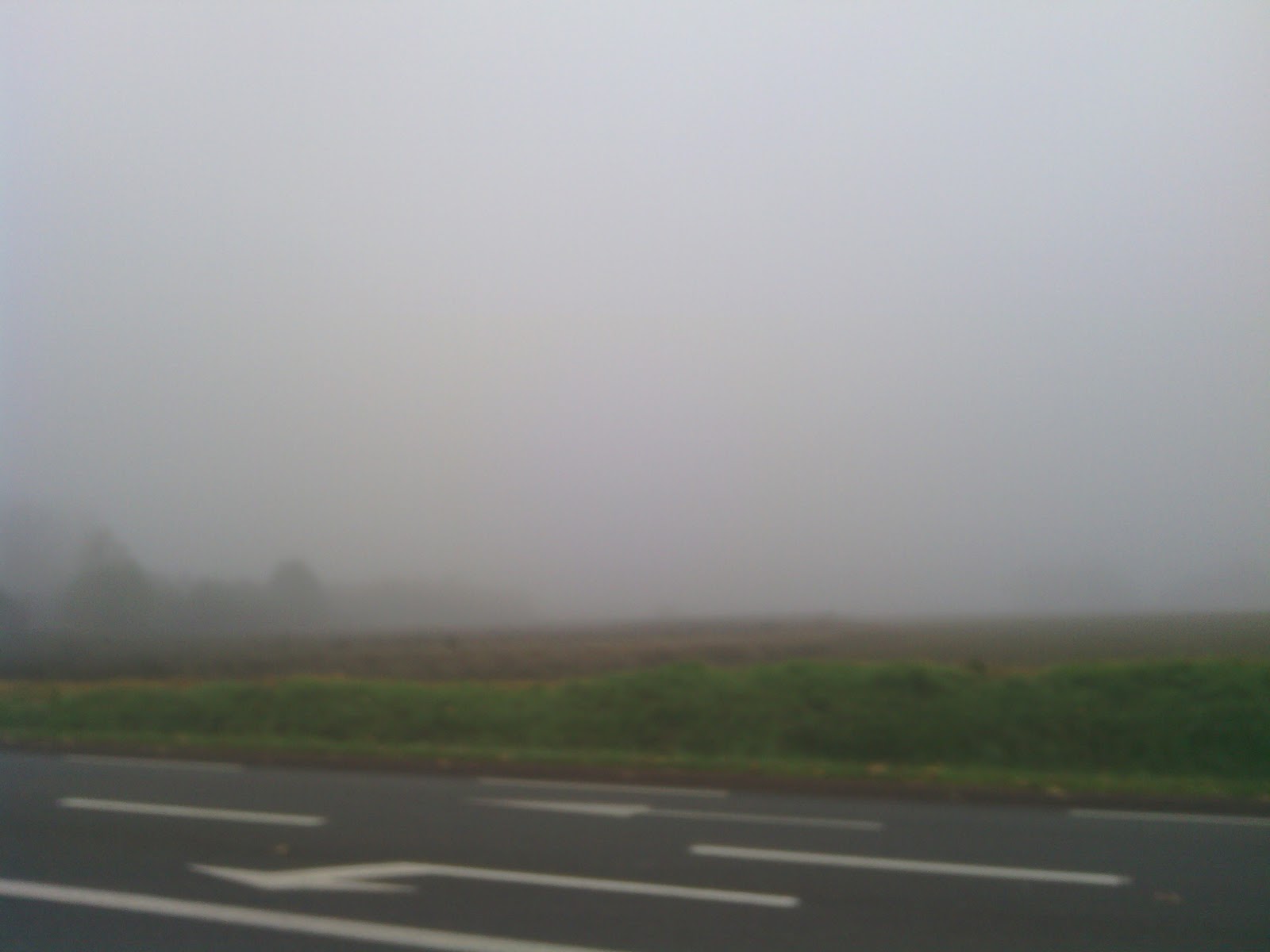 e-Sunny: novembre 2012