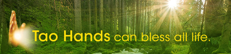 Tao Hands