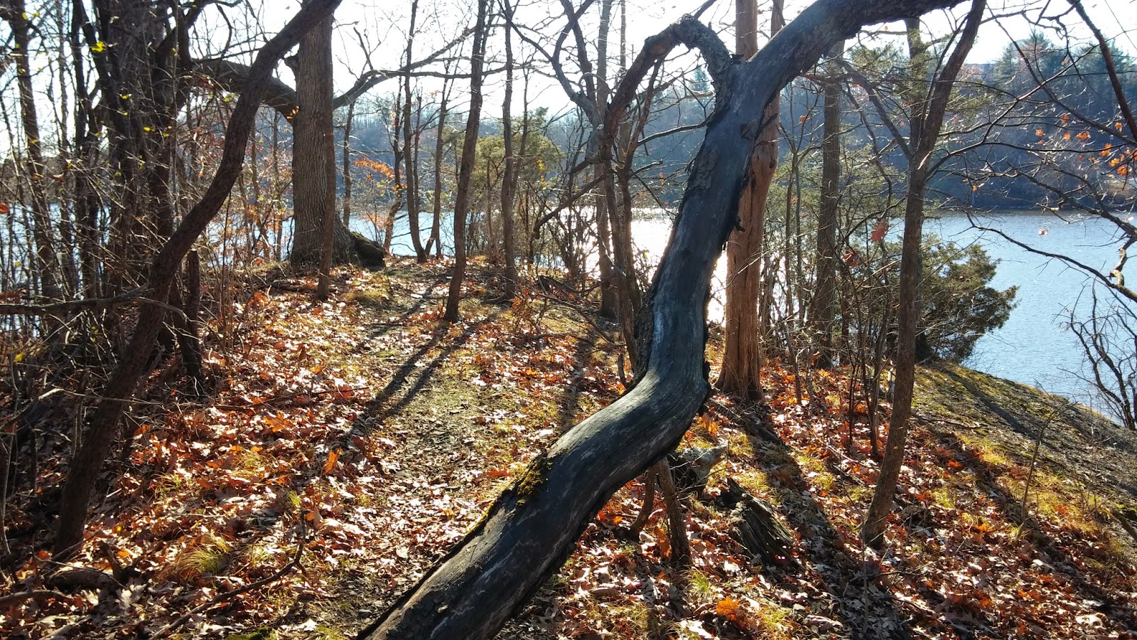 Mohawk River - Wistful Wanderings