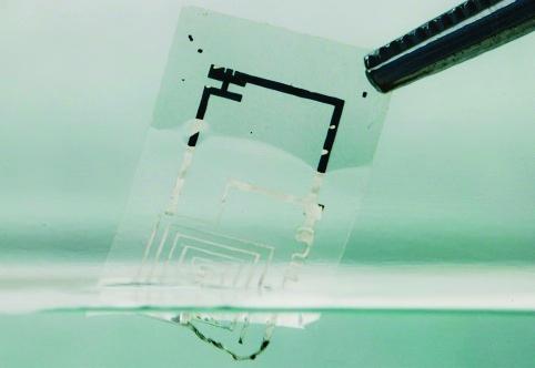Tech Info: Biodegradable Electronic Circuits Dissolve In Water