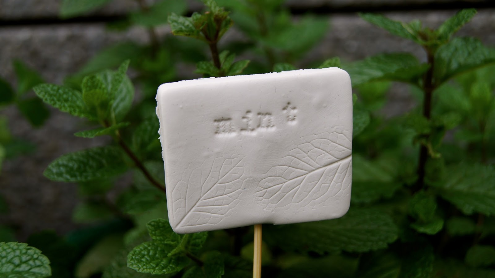 Modeling Clay Label at Cory Tack blog