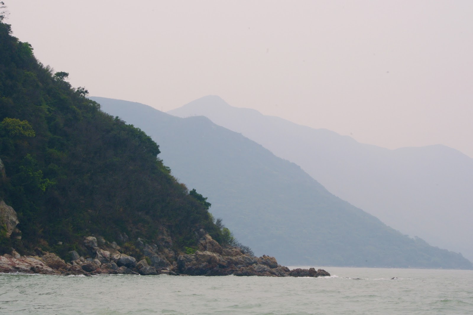 one side of the story: Dolphin-sighting, en routes to Tai-O