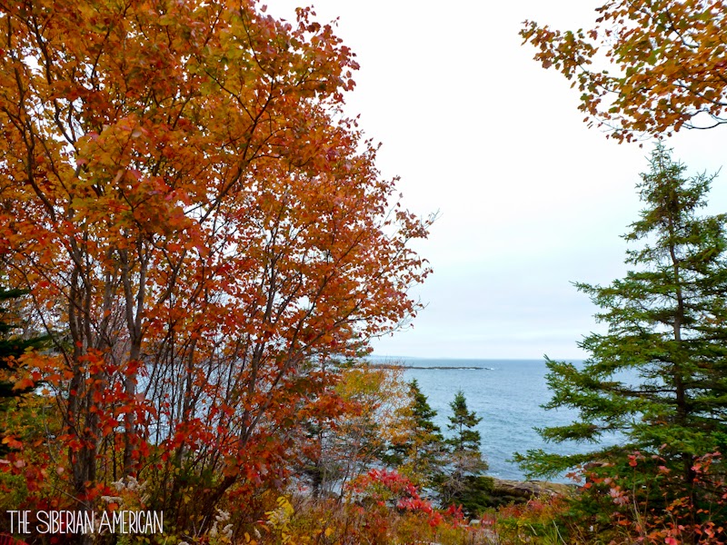 The Siberian American: Fall Foliage Cruise: Bar Harbor, Maine and ...