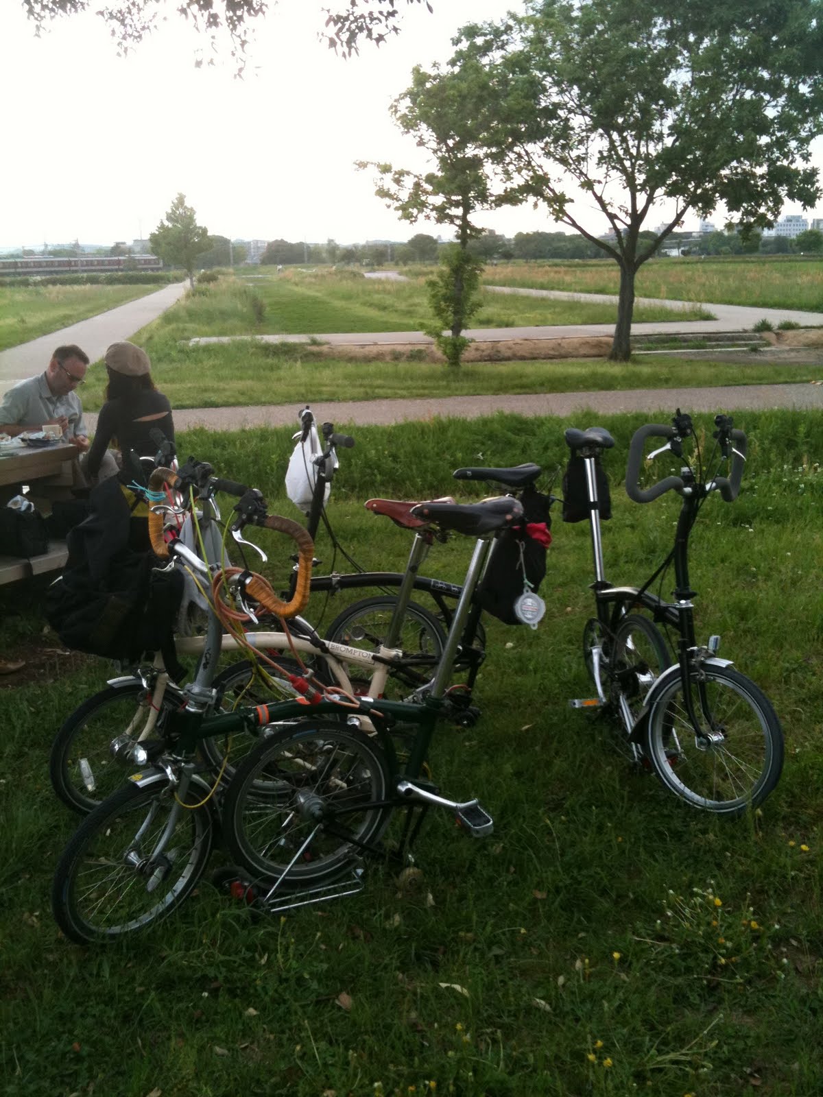 me, super size?: BWR, Brompton Wide Range hub gear. BWR, ブロンプトン社開発の内装変速