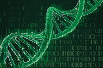 Unveiled Secrets and Messages of Light