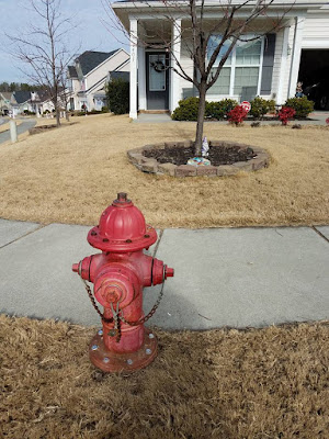 Yes, the color of your nearby fire hydrant matters...