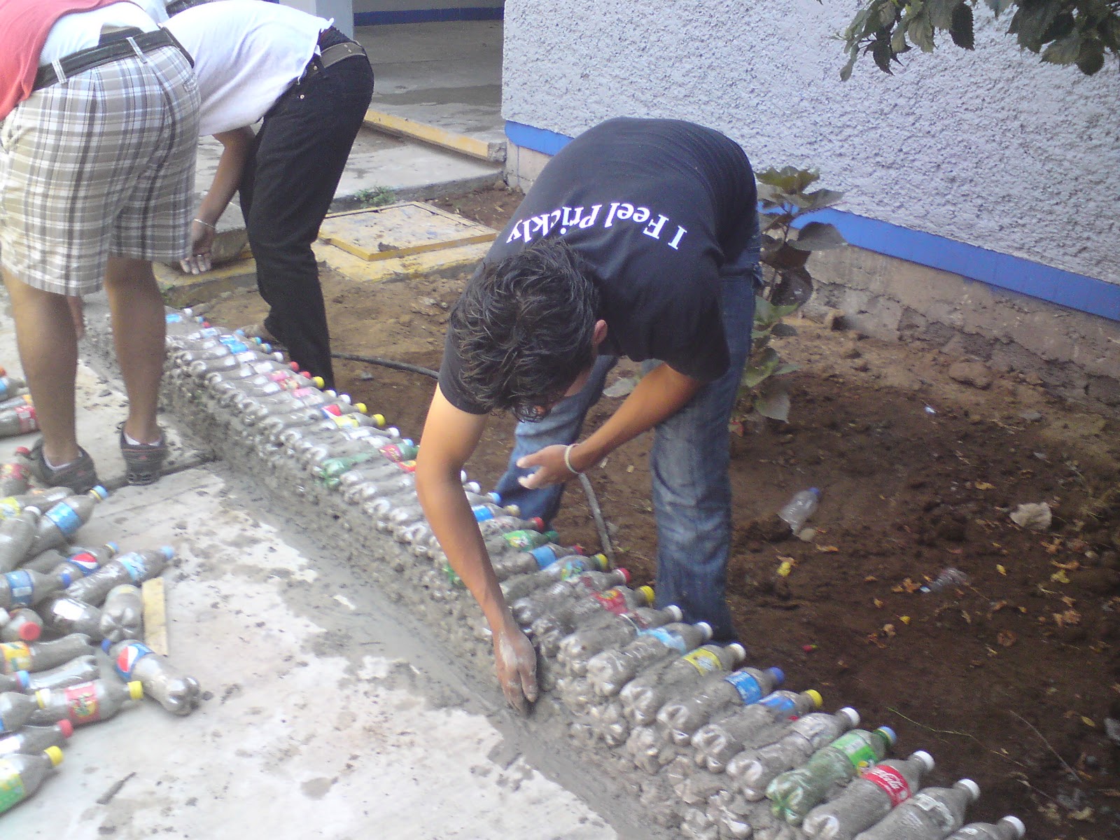 El Rincon de la luna: APLICACION DE PROYECTOS ECOLOGICOS EN EL CECYTEM ...