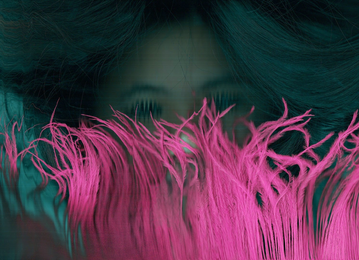 The Photographic Sense