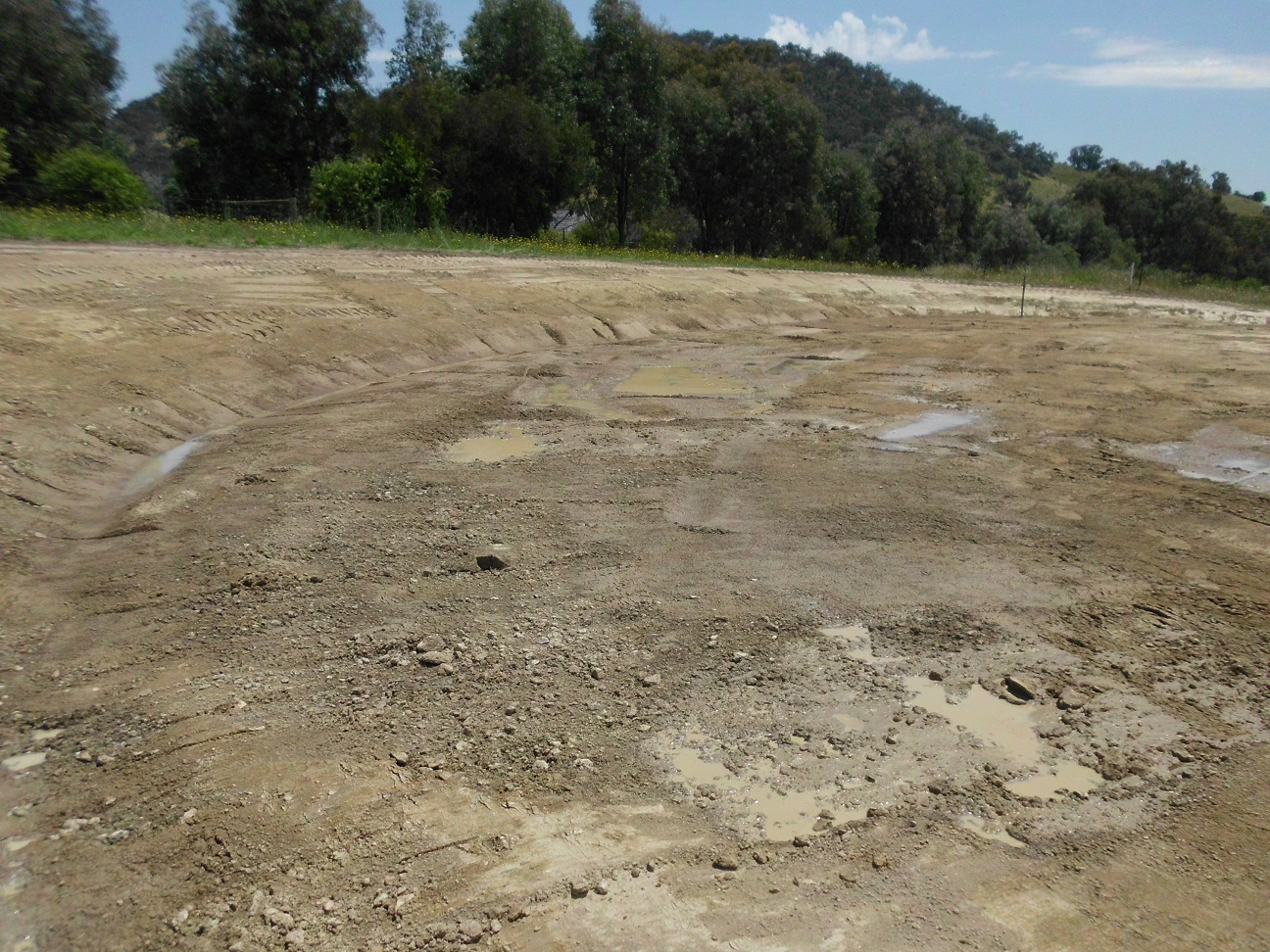 Tim & Jodie's House: Aggie Drain