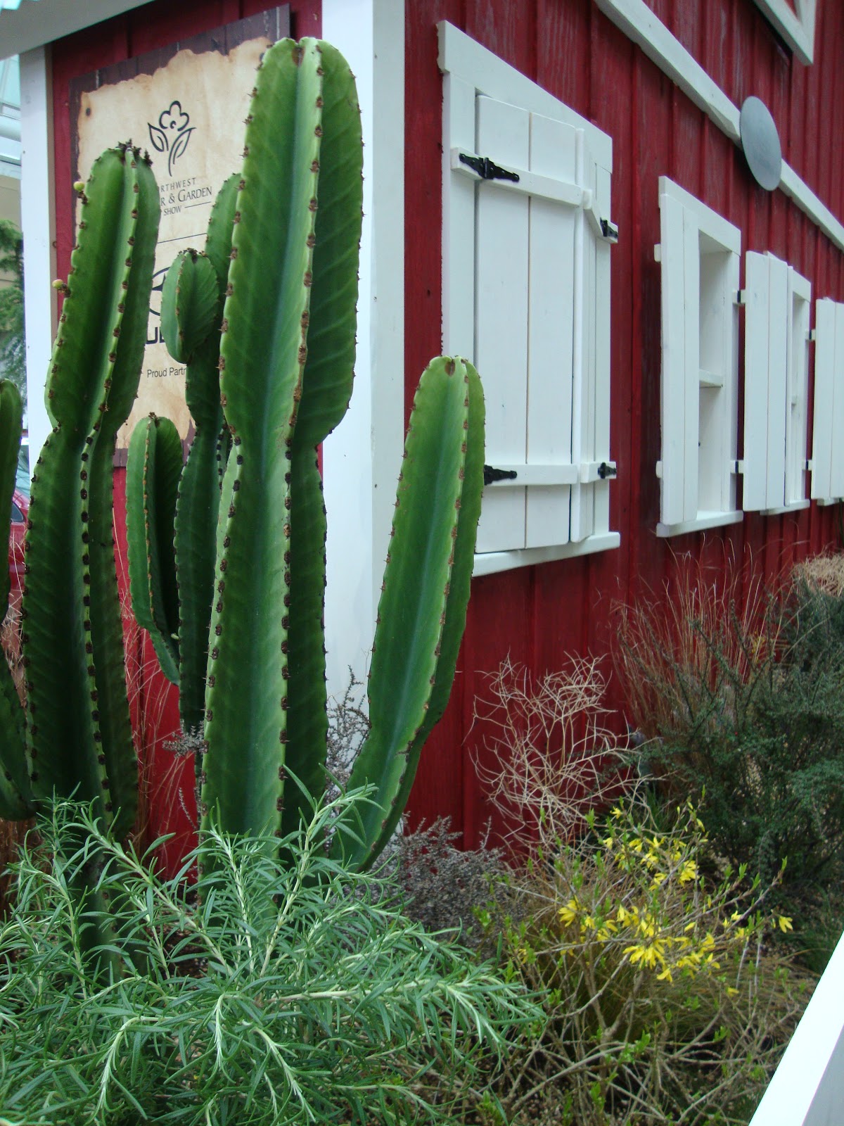 danger garden: The Northwest Flower & Garden Show 2012, part one…ideas!