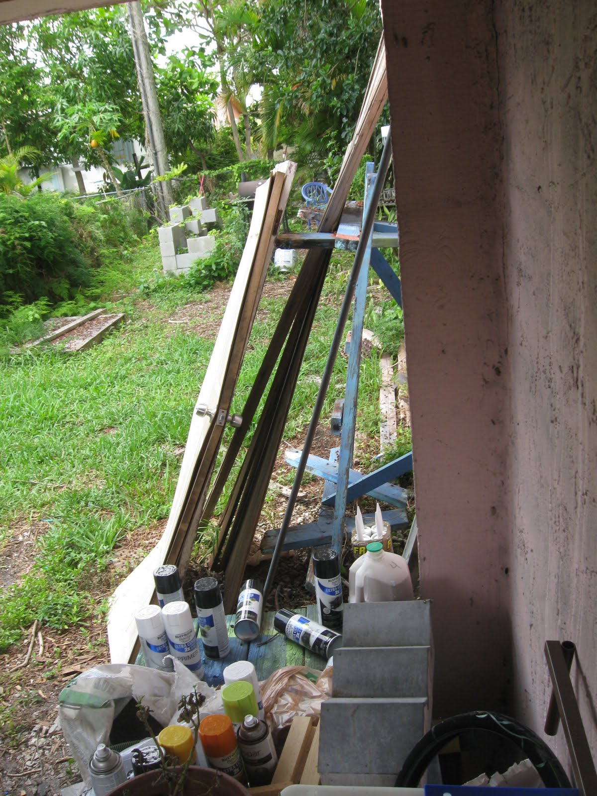 Life in Rehab: What's Blooming in My Redneck Yard?