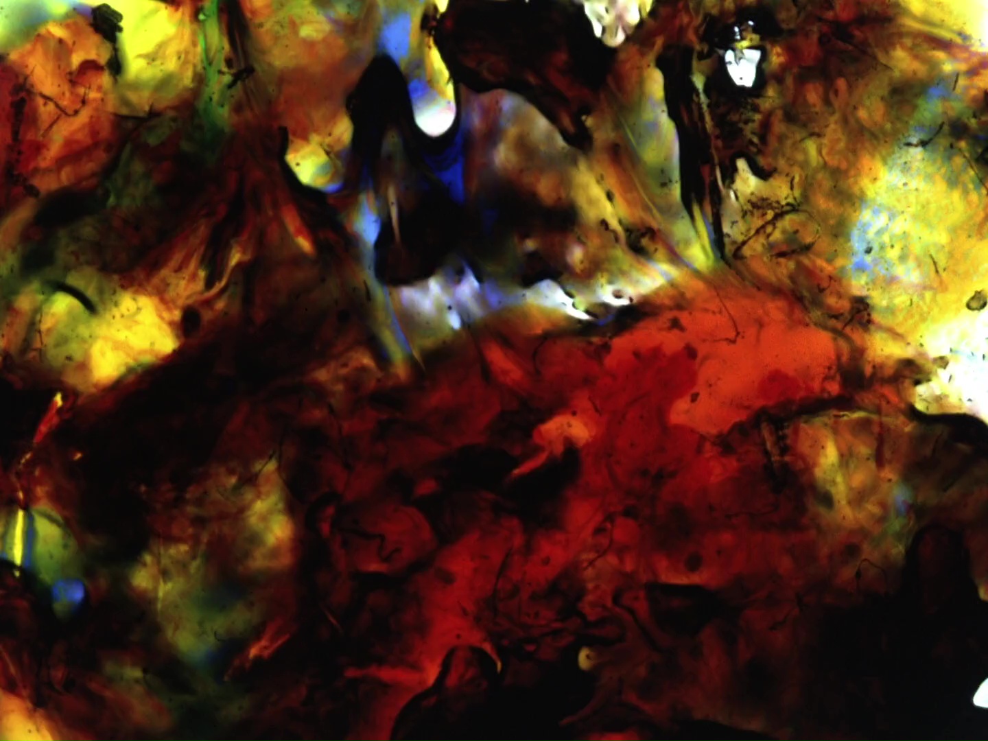 Notes On Cinematograph: Miniatures in Motion: Stan Brakhage and Iran