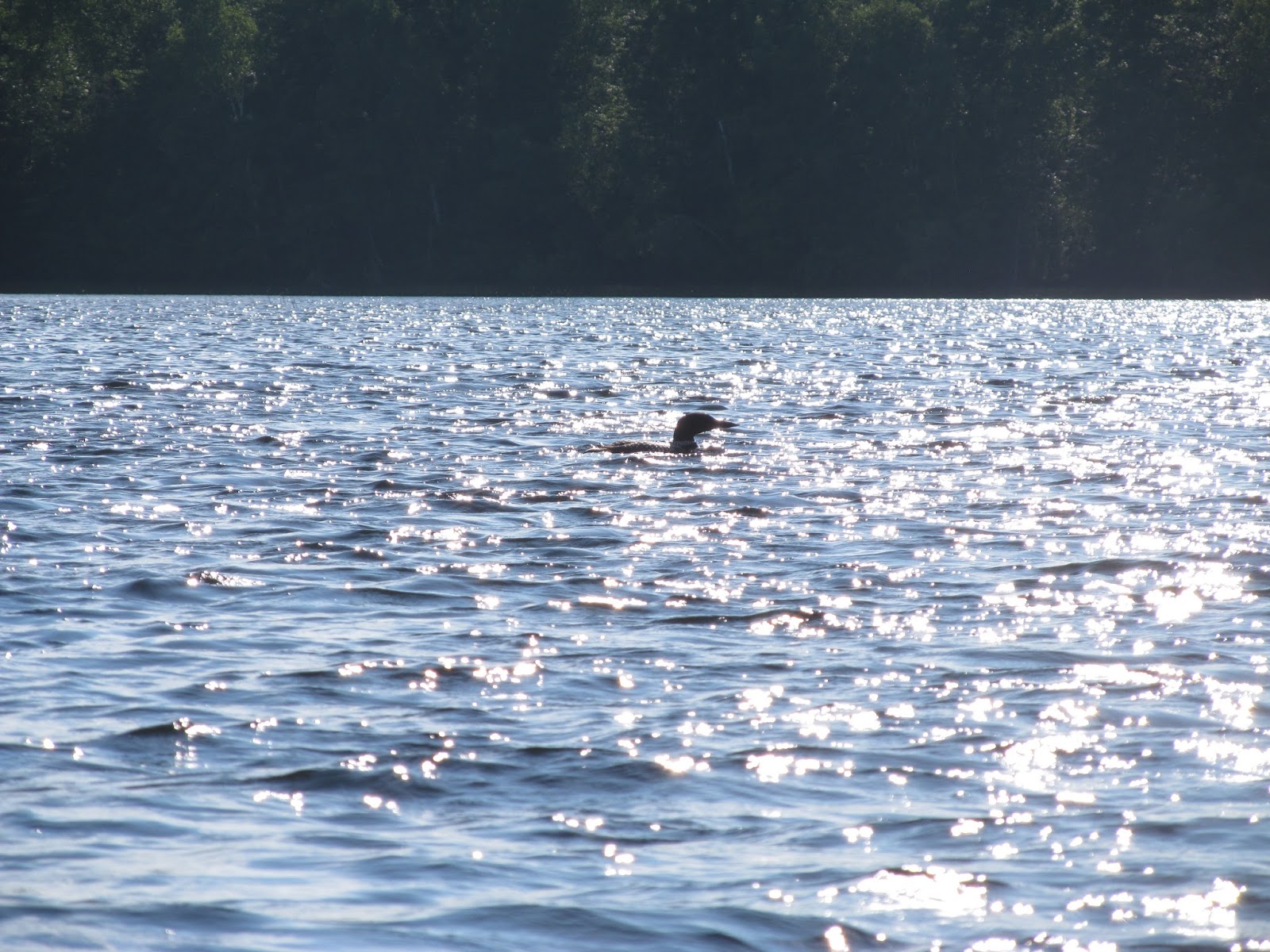 Recreational Kayaking in Maine: Stump Pond, Lincoln Maine