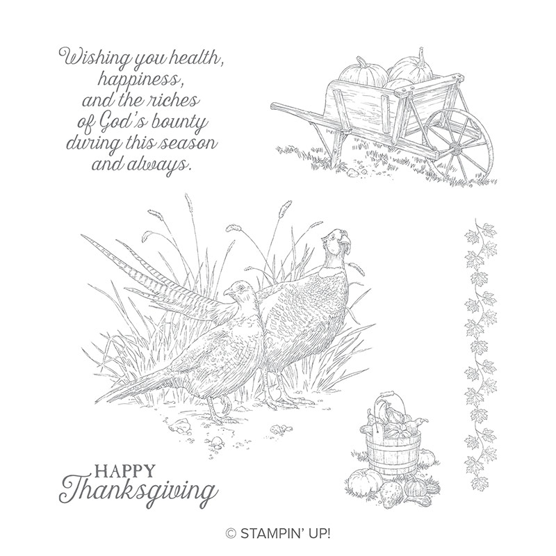 Blessings by Design: PLEASANT PHEASANTS STAMP SET!