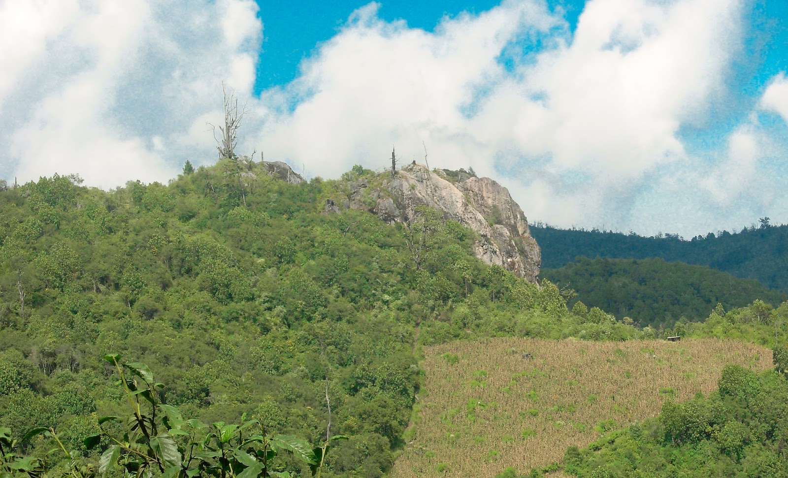 Aldea Pixabaj "Yamanïk": Cerro María Tecún "Yamanik"