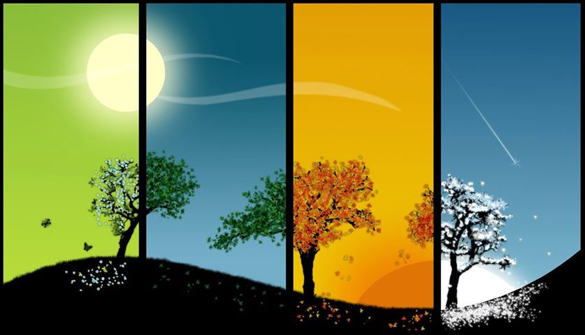 LAS CUATRO ESTACIONES (cuento)