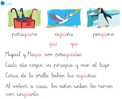 Primer ciclo: diciembre 2016