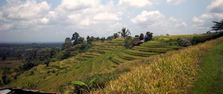 Konsep Dewa Raja di Bali ~ Svara Mahardika