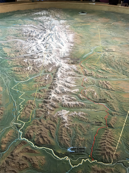 Day 34: Denali National Park